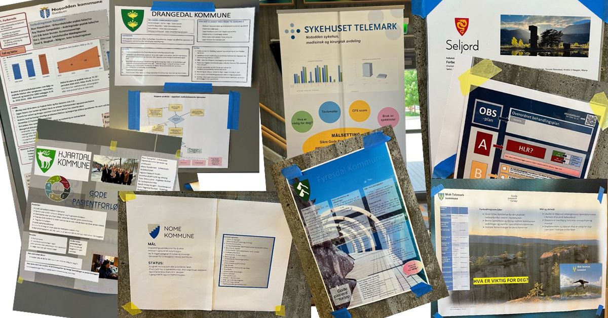Gode Pasientforløp - Begynnelsen på fortsettelsen for kommuner og ...